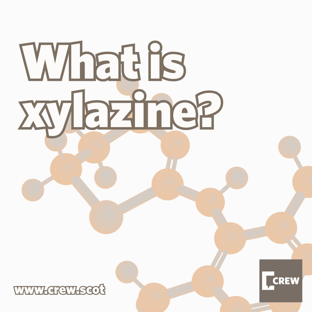Drug Market Update: Xylazine